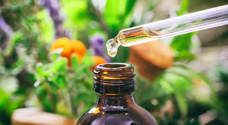 Essential Oils for Breast Cancer: Benefits, Safety, and Evidence-Based ...