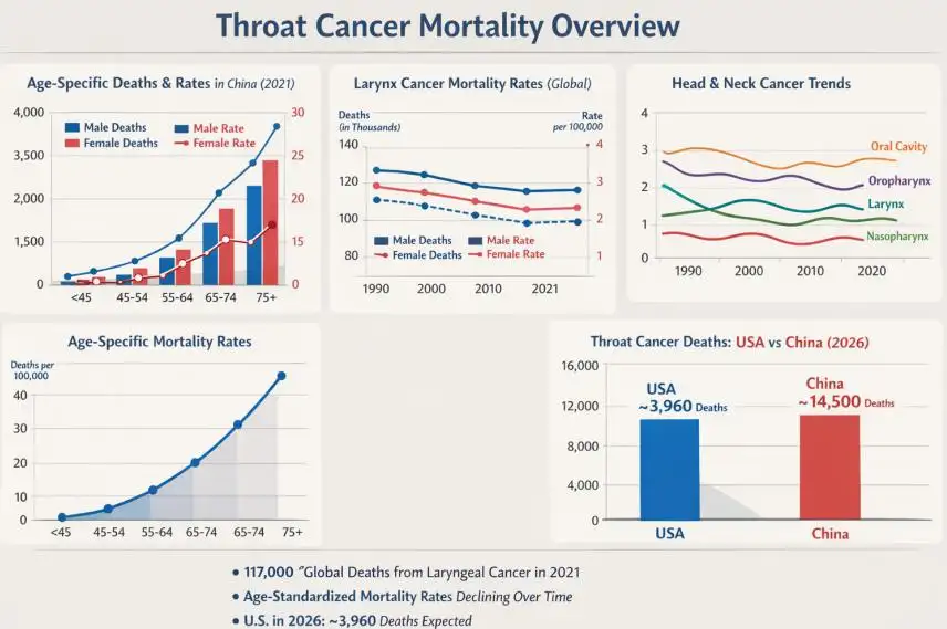 Throat Cancer Mortality: Causes, Survival Rates, and How Early ...